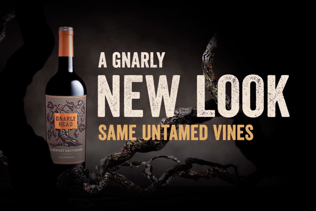 GNARLY HEADGnarly New Look - Gillet Creative